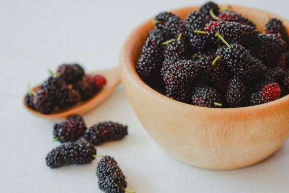 Health benefits of mulberry