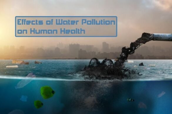 Effects of water pollution on human health